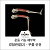 운동 기능 해부학 경첩 관절 알아보기2 무릎 관절의 신전 네이버 블로그